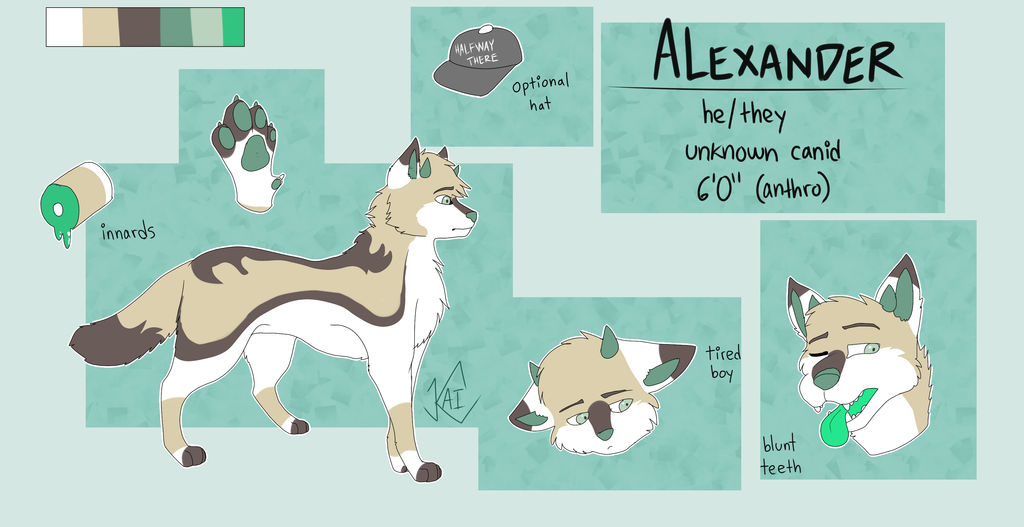Alexander Reference Sheet by KaiSkelyx on DeviantArt Alexander Reference Sheet by KaiSkelyx on DeviantArt