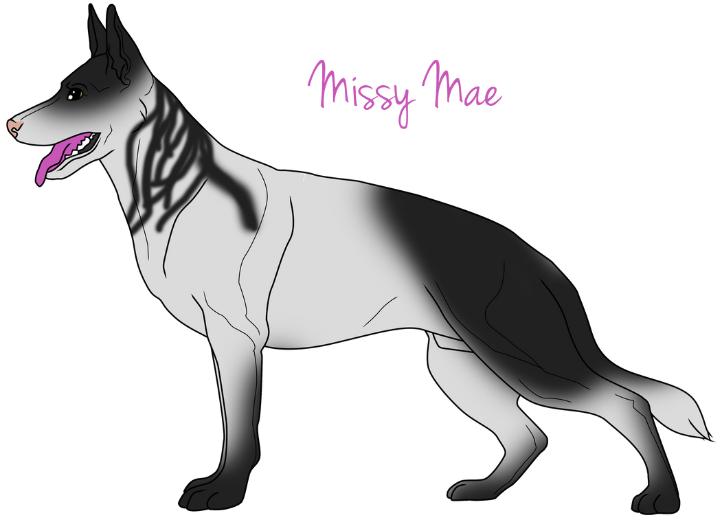 Missy Mae By Bright In The Night On Deviantart