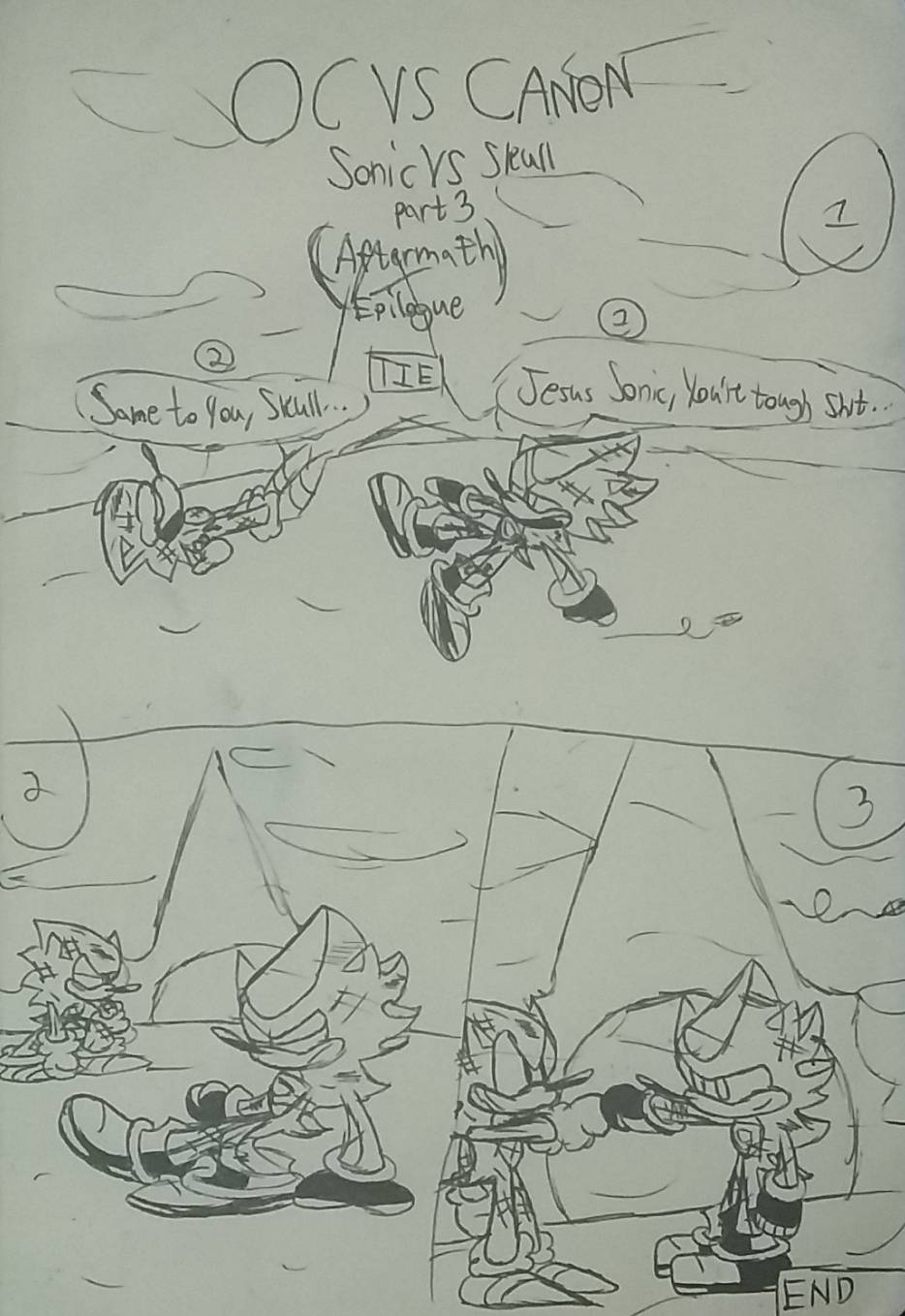 Oc Vs Canon Skull Vs Sonic Part 3 Epilogue By Skullthehedgehogboi On Deviantart