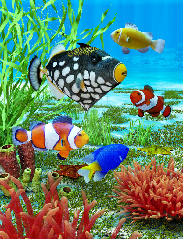 Aquarium By Abiliofernandez On Deviantart