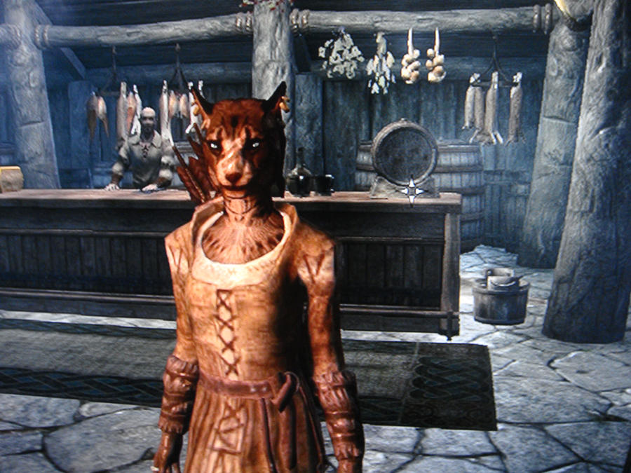 Skyrim Inn By Sadisticsympathetic On Deviantart