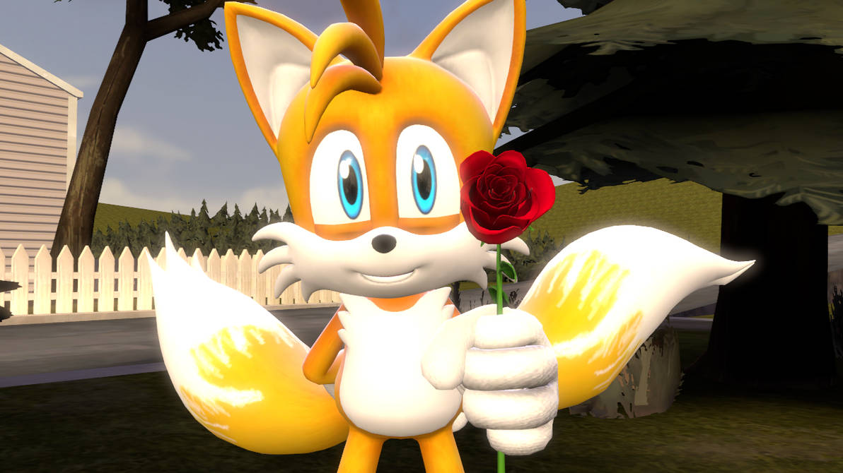 Tails This Rose Is For You By Legomanmaniac On Deviantart