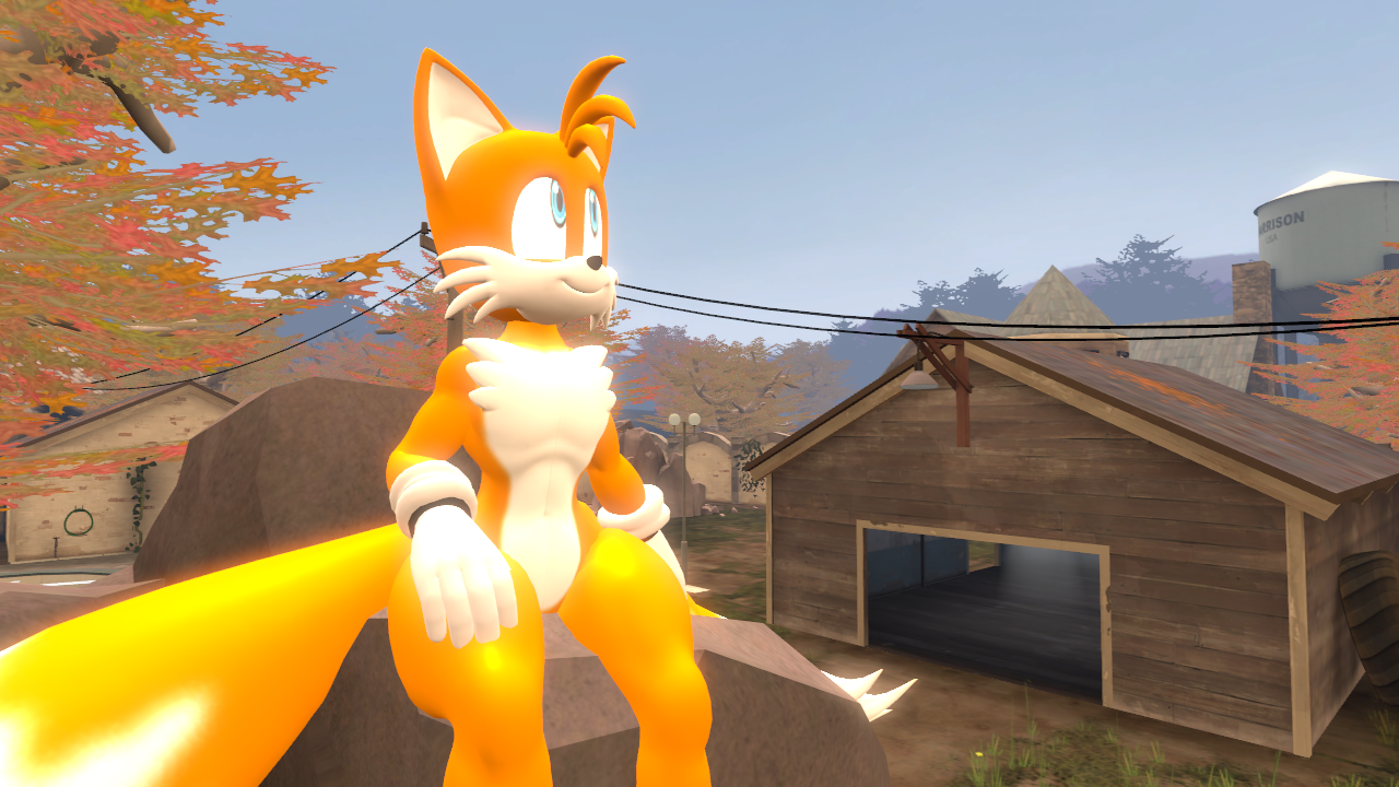 Adult Tails By Legomanmaniac On Deviantart