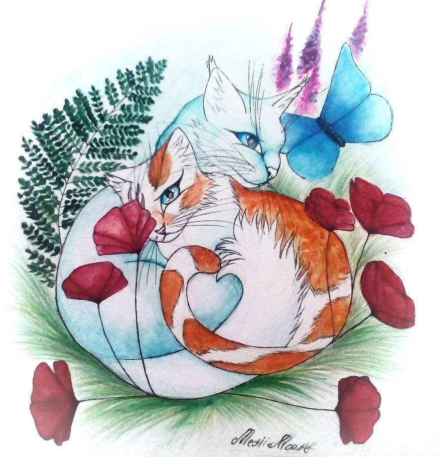 Brightheart and Cloudtail. by Mary-Moore on DeviantArt Brightheart and Cloudtail. by Mary-Moore on DeviantArt
