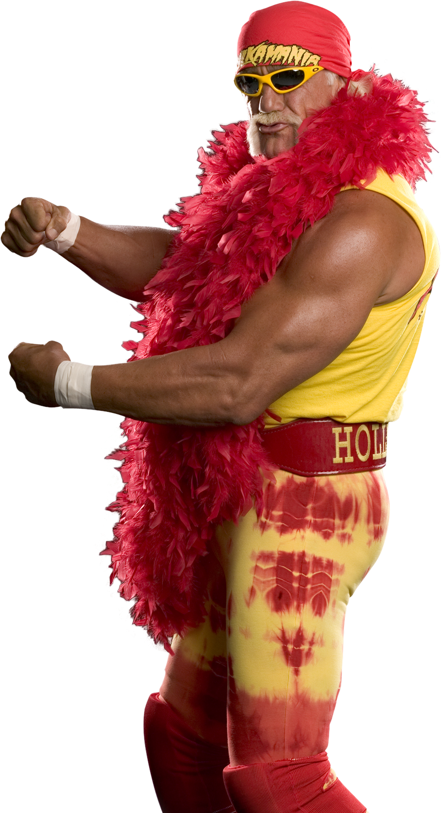 Hulk Hogan Png By Ambriegnsasylum16 On Deviantart