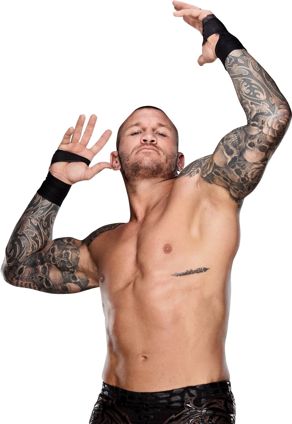 Randy Orton Victory Pose 2017 New Png By Ambriegnsasylum16 On Deviantart