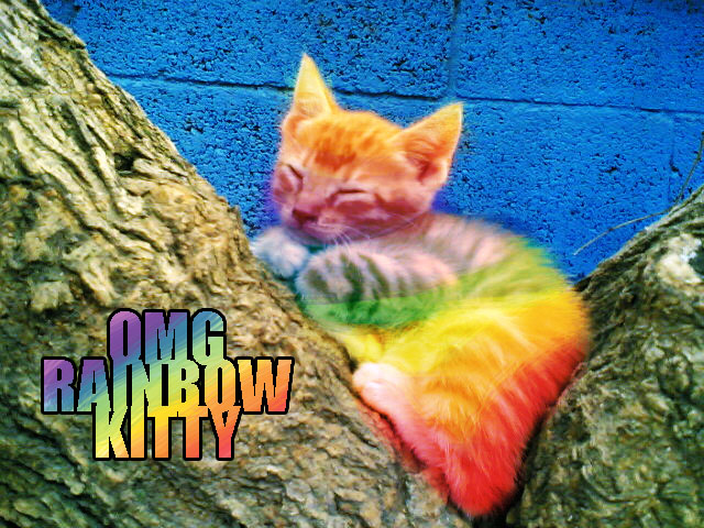 Rainbow Kitty by MarmaladeGirl-89 on DeviantArt