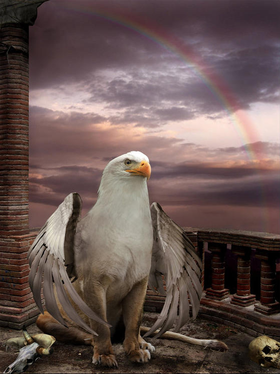 Griffin by maariusz on DeviantArt