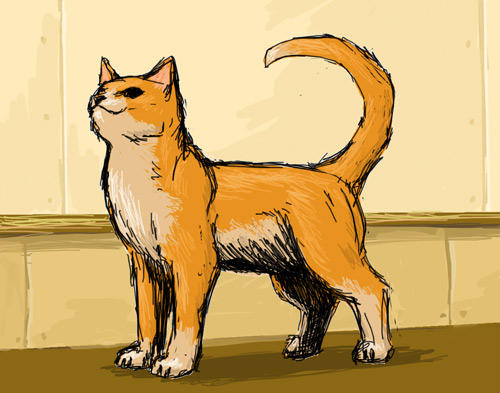 Speedkitty By Turbofanatic On Deviantart