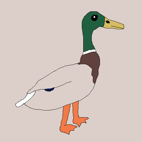 Duck Drawing By Lilkanyongmail On Deviantart