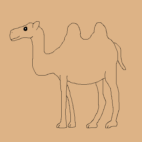 Bactrian Camel Drawing by lilkanyongmail on DeviantArt Bactrian Camel Drawing by lilkanyongmail on DeviantArt