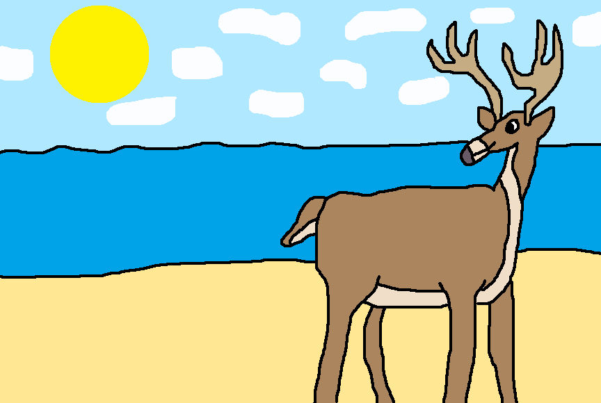 Deer At The Beach By Lilkanyongmail On Deviantart