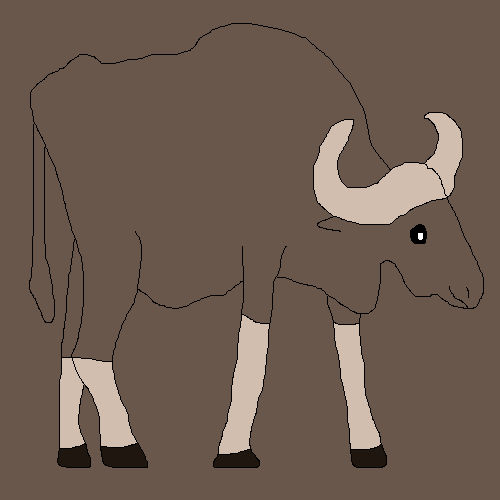 Gaur Drawing By Lilkanyongmail On Deviantart