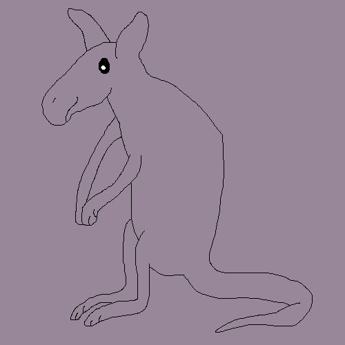 Wallaby Drawing By Lilkanyongmail On Deviantart