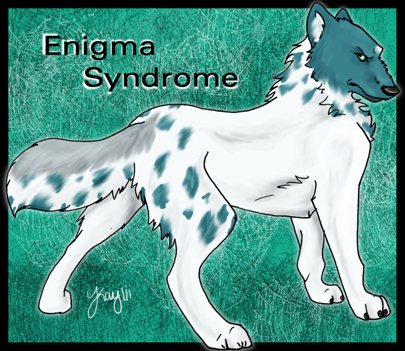 Enigma Syndrom Tier , Pica-Syndrom bei Katzen: Ursachen & Therapie – PUIPFU