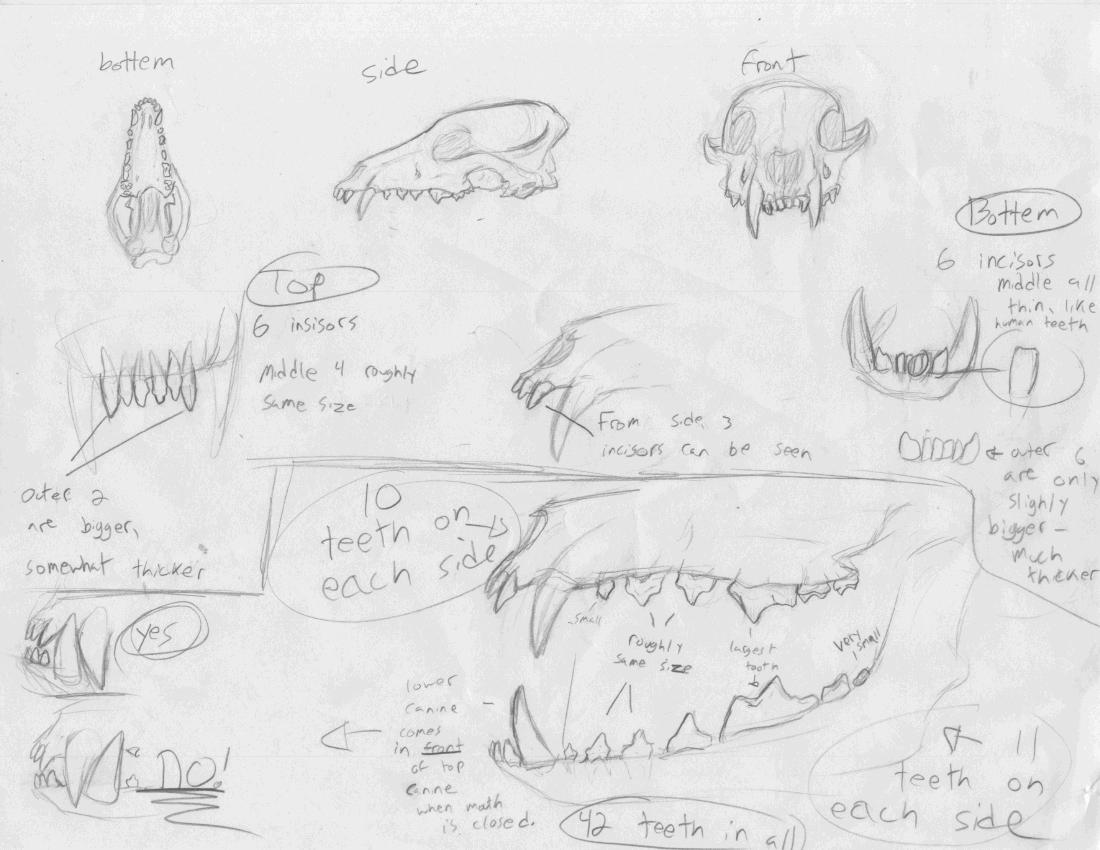 Canine Fang tutorial by Iron-Zing on DeviantArt