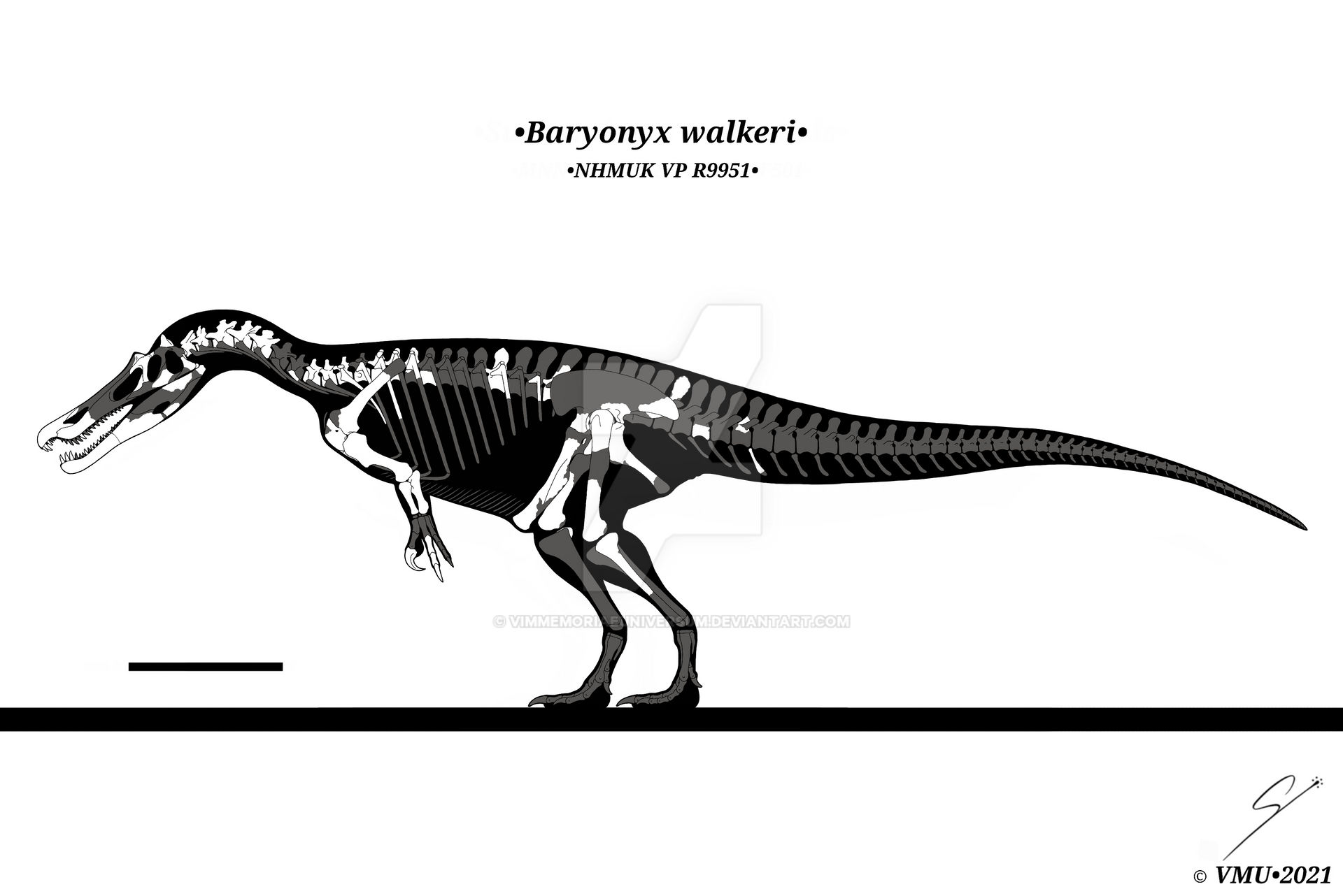 Baryonyx Walkeri By Vimmemoriaeuniversum On Deviantart