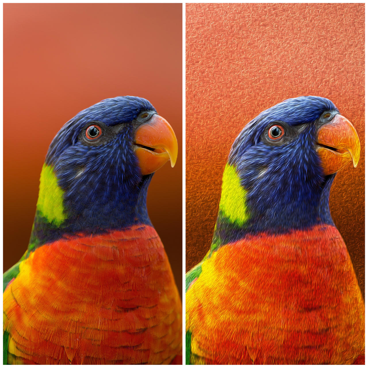 Art Demo 131 Colorful Parrot By Cosmicanimation On Deviantart