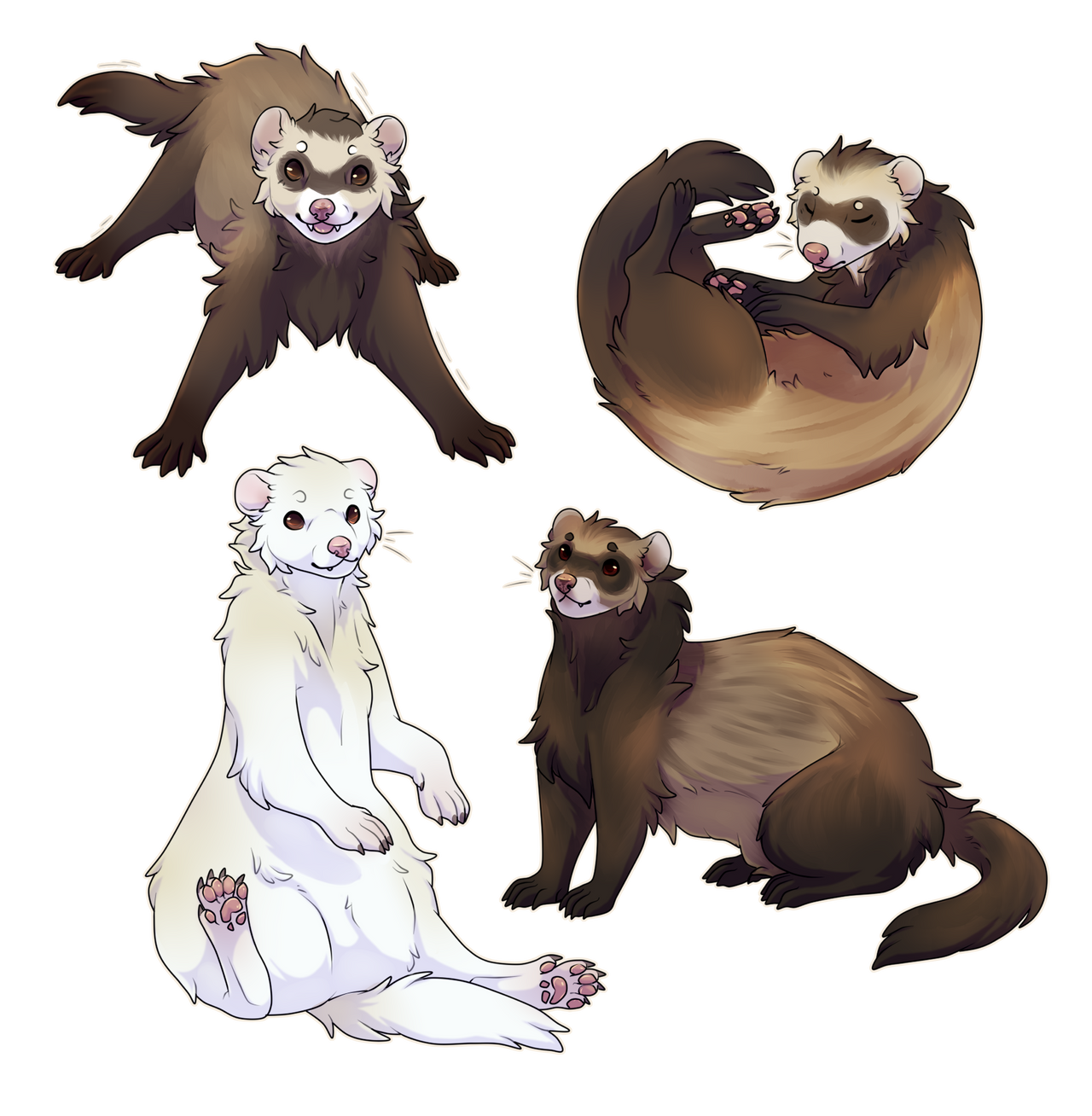 Ferrets Comm By Juneaupaws On Deviantart