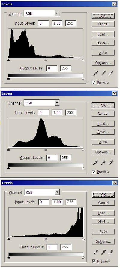 Using Histogram and Levels by Tiberius47 on DeviantArt