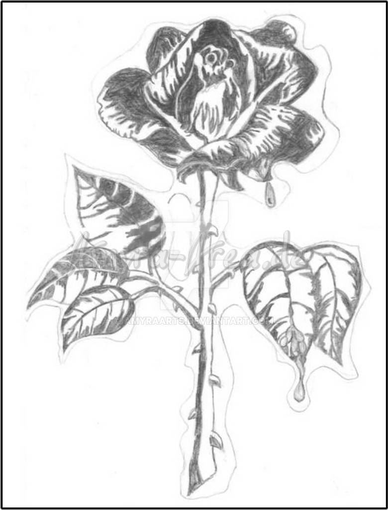 Bleeding Rose By Amyraarts On Deviantart