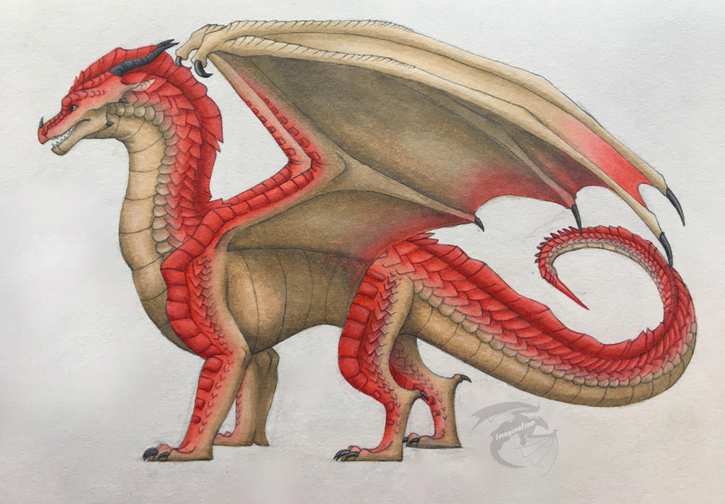 SandWing/SkyWing Hybrid by ImaginationDraws on DeviantArt SandWing/SkyWing Hybrid by ImaginationDraws on DeviantArt