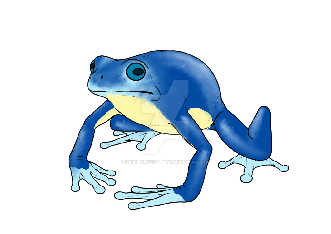 Frog by Cheap-Adopts-n-More on DeviantArt Frog by Cheap-Adopts-n-More on DeviantArt