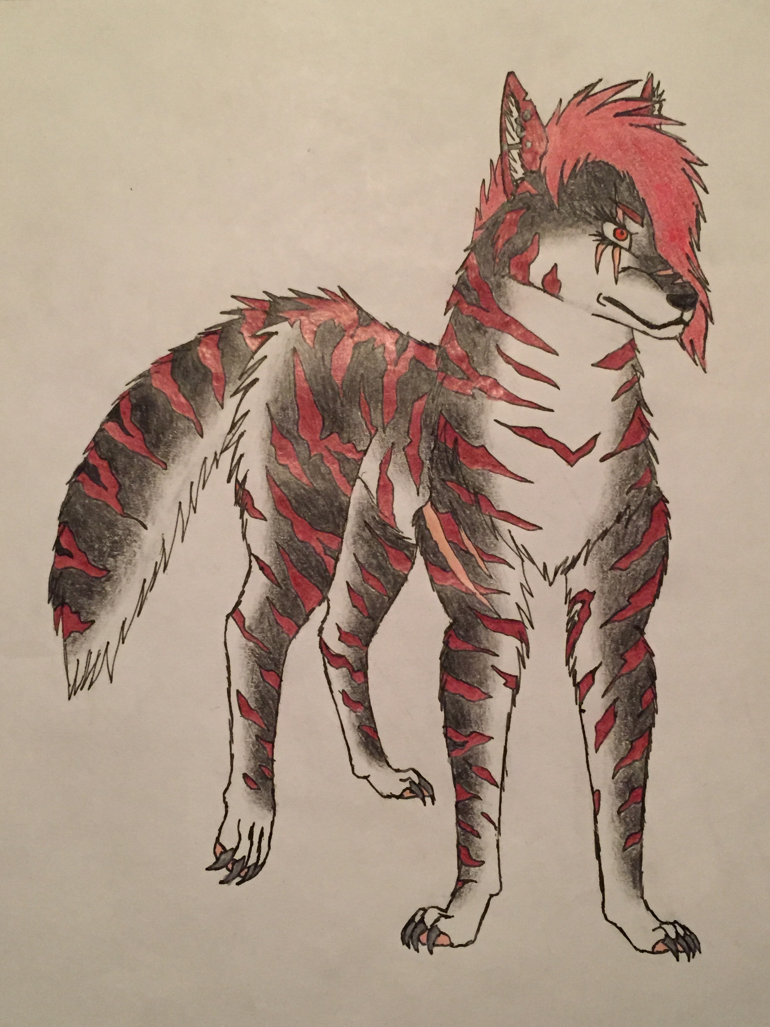 Nightclaw By Electra16 On Deviantart