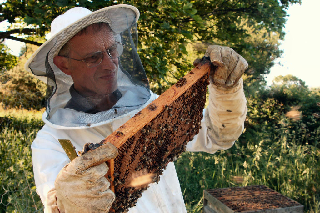 The Beekeeper by Aconitum-Napellus on DeviantArt The Beekeeper by Aconitum-Napellus on DeviantArt