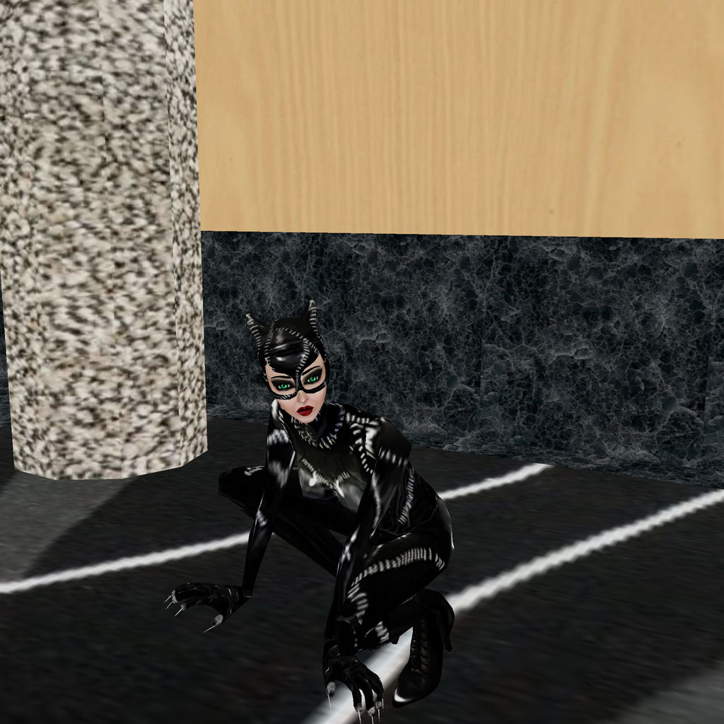 Catwoman Tg By Monstermaster13 On Deviantart