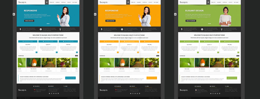 Salique - MultiPurpose Responsive Theme by wowthemesnet on DeviantArt Salique - MultiPurpose Responsive Theme by wowthemesnet on DeviantArt