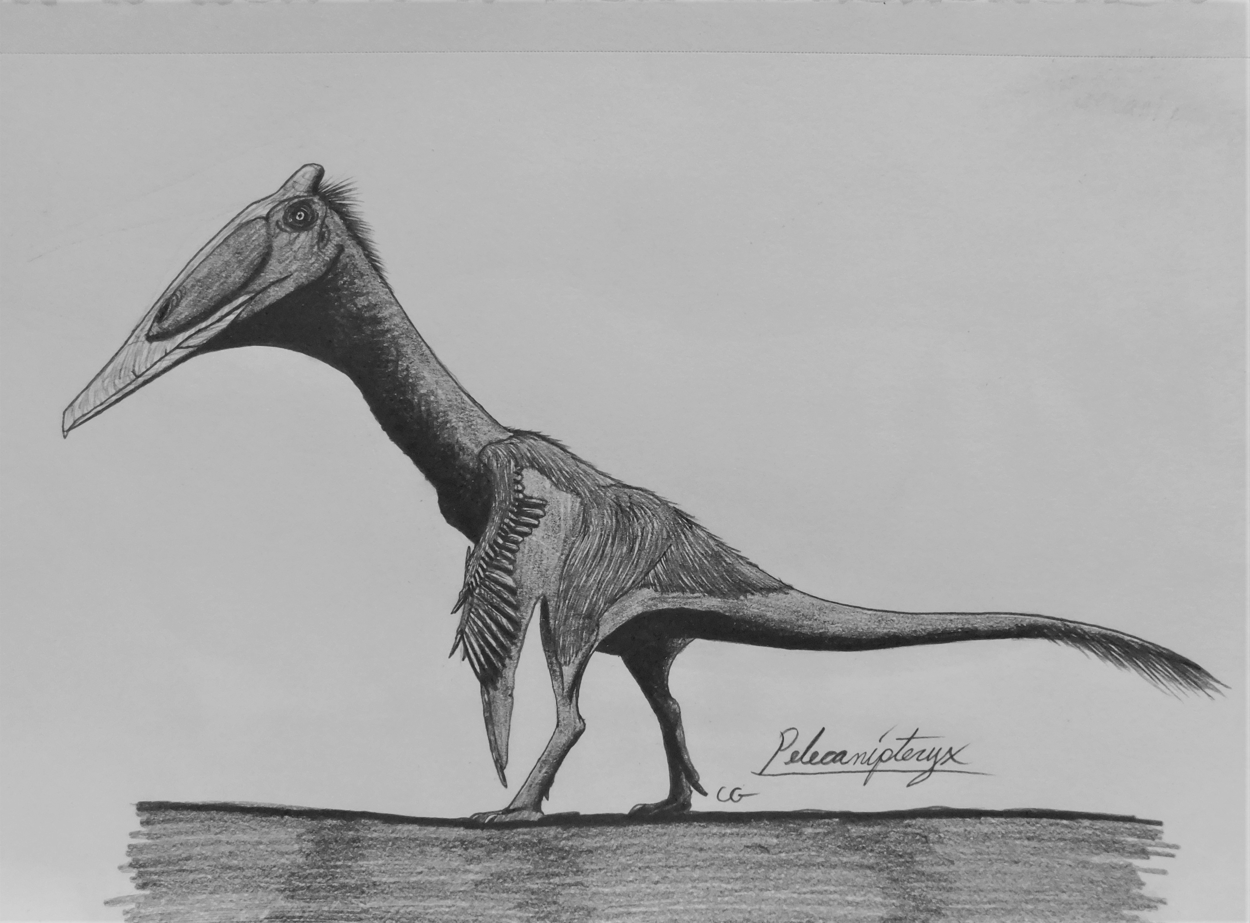 Jurassic World Hybrids Pelecanipteryx By Acrosaurotaurus On Deviantart