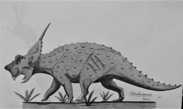Explore the Best Achelousaurus Art | DeviantArt Explore the Best Achelousaurus Art | DeviantArt