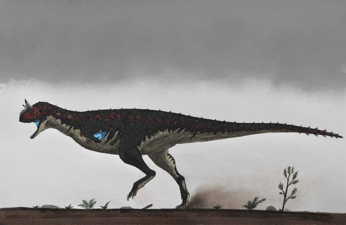 Carnotaurus Sastrei By Acrosaurotaurus On Deviantart