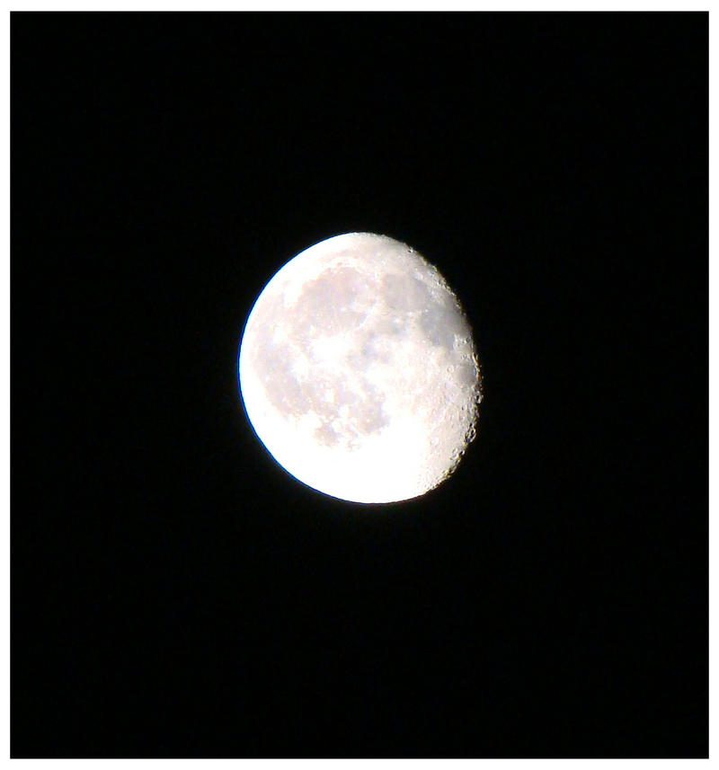 An Embryo named Moon. by darkmoondust on DeviantArt An Embryo named Moon. by darkmoondust on DeviantArt