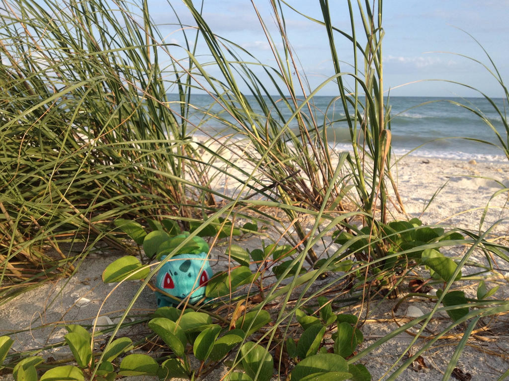 A Wild Bulbasaur Appears by Chequeroot on DeviantArt A Wild Bulbasaur Appears by Chequeroot on DeviantArt