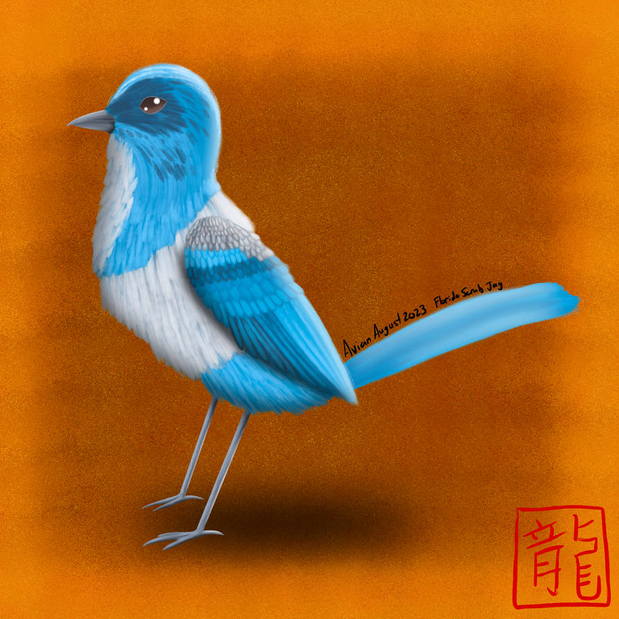 Florida Scrub Jay By Ryuuliskart On Deviantart