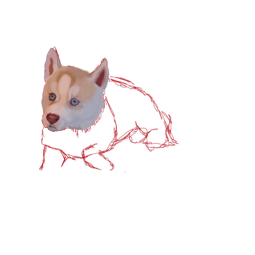 Huskie WIP by gemz76 on DeviantArt