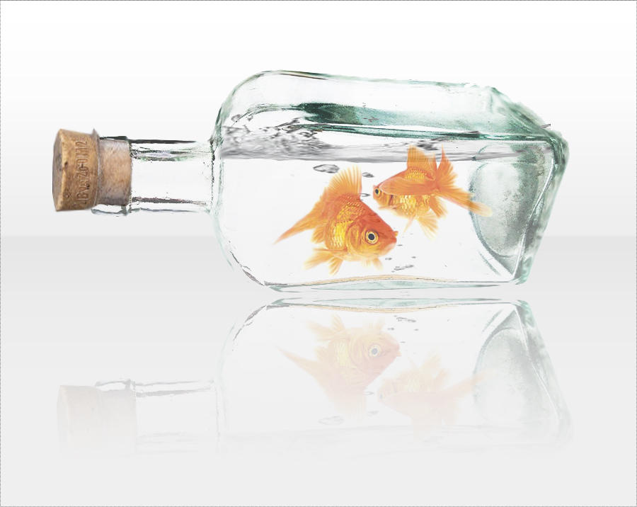 Fish in Bottle by ZoOM2 on DeviantArt
