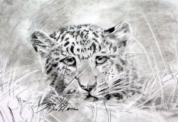 leopard cub by acejas on DeviantArt