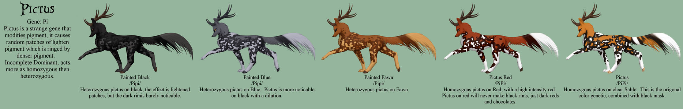 Walking Wolf Genetics Pictus By Kayosa On Deviantart