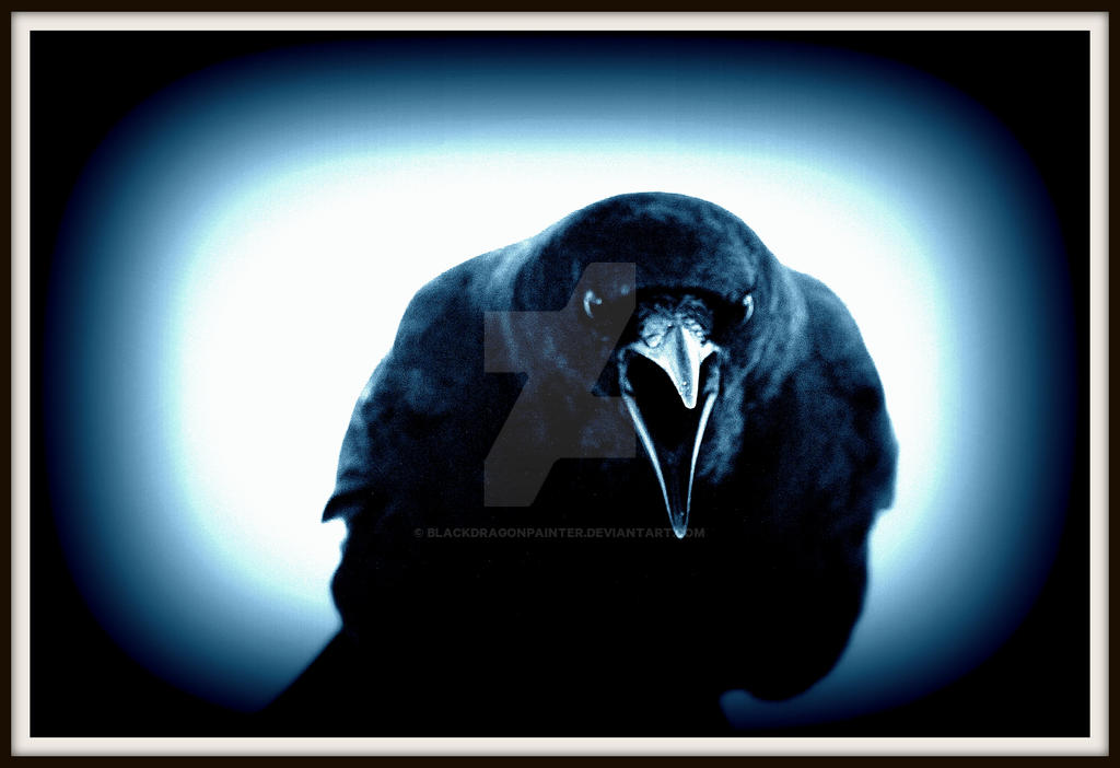 Crow - Edit by BlackDragonPainter on DeviantArt Crow - Edit by BlackDragonPainter on DeviantArt