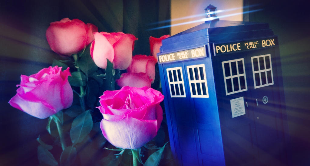 My Tardis By Karenscarlet On Deviantart
