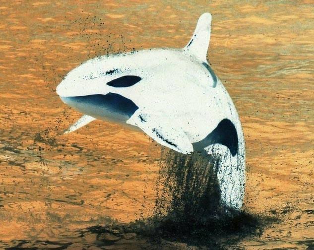 Ghost orca by SamusZane on DeviantArt