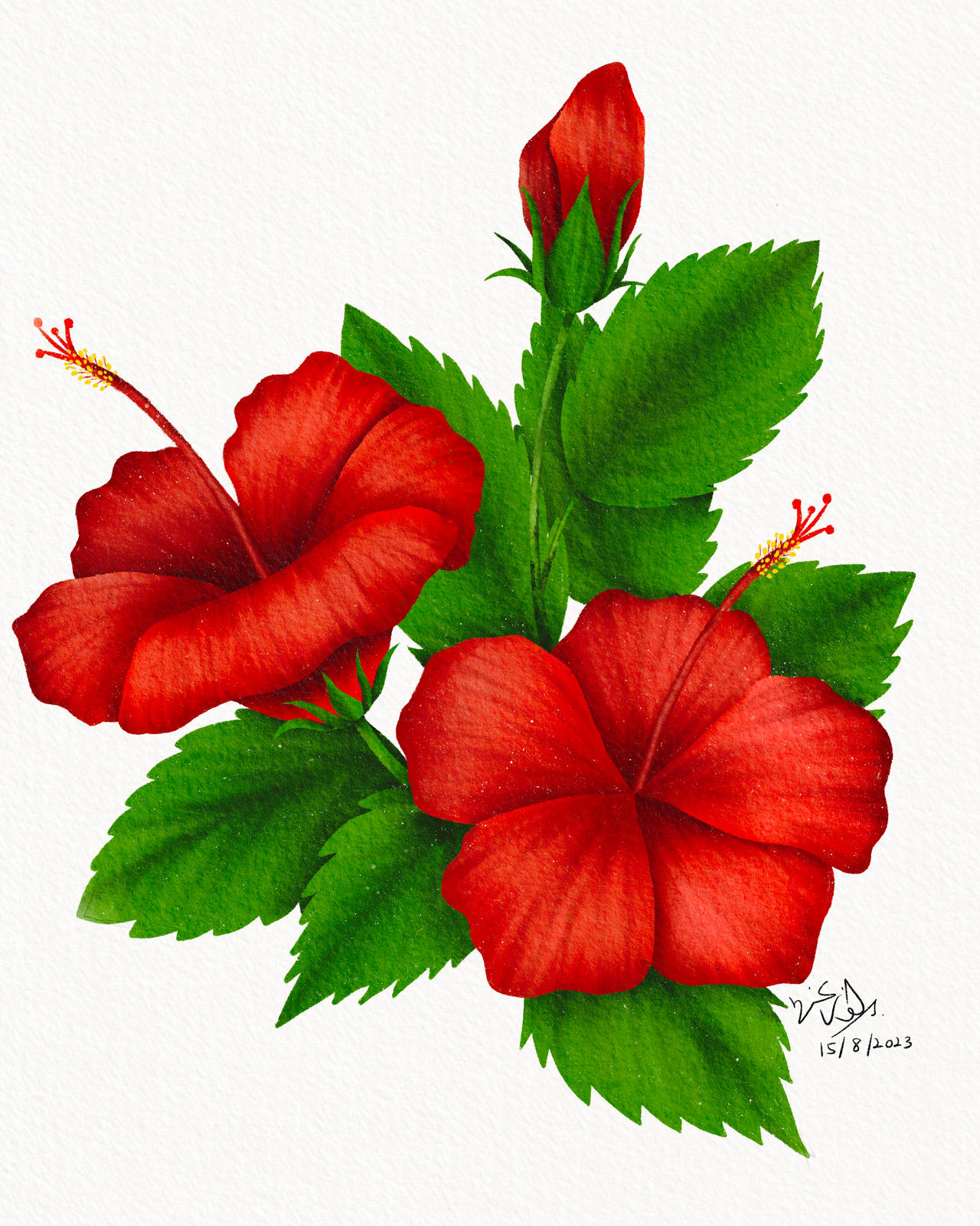 Bunga Raya By Azahohyanuddin On Deviantart