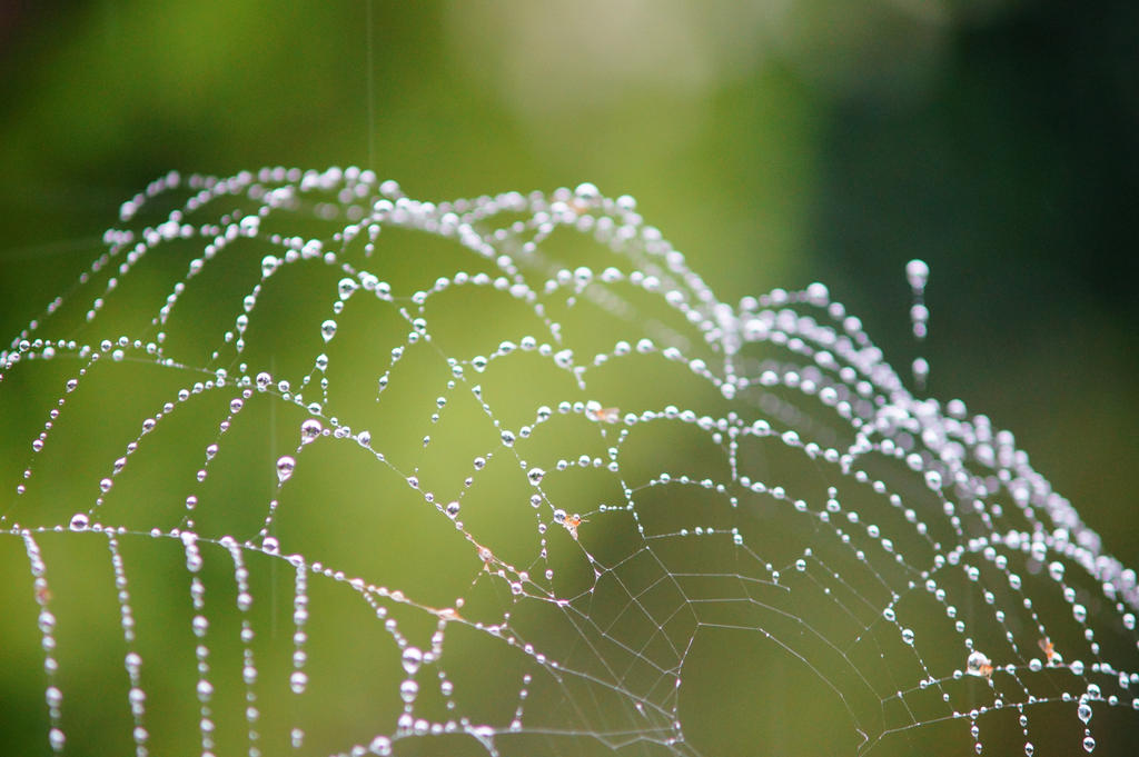The Spiders Jewels By Edibale Artist On Deviantart