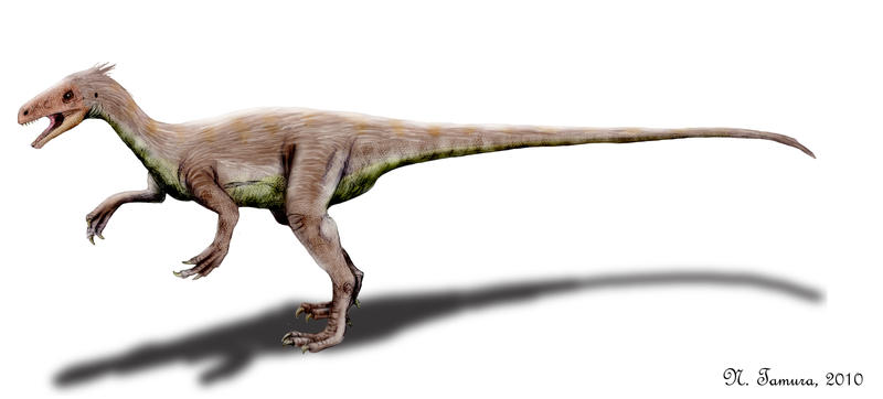Ornitholestes by NTamura on DeviantArt Ornitholestes by NTamura on DeviantArt