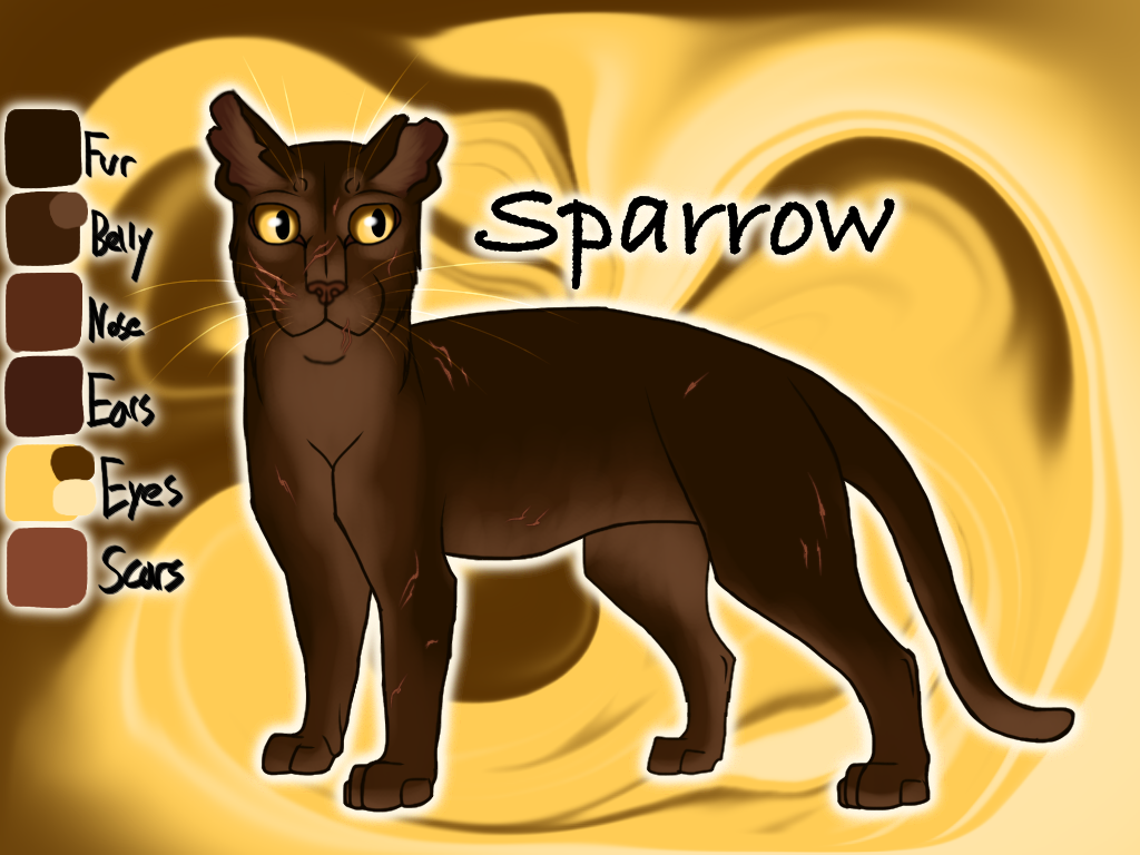 Sparrow The Rogue Tallstar s Revenge By Jayie The Hufflepuff On sparrow-the-rogue-tallstar-s-revenge-by-jayie-the-hufflepuff-on