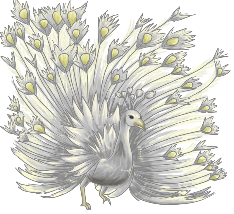 Albino Peacock By Ptarionn On Deviantart