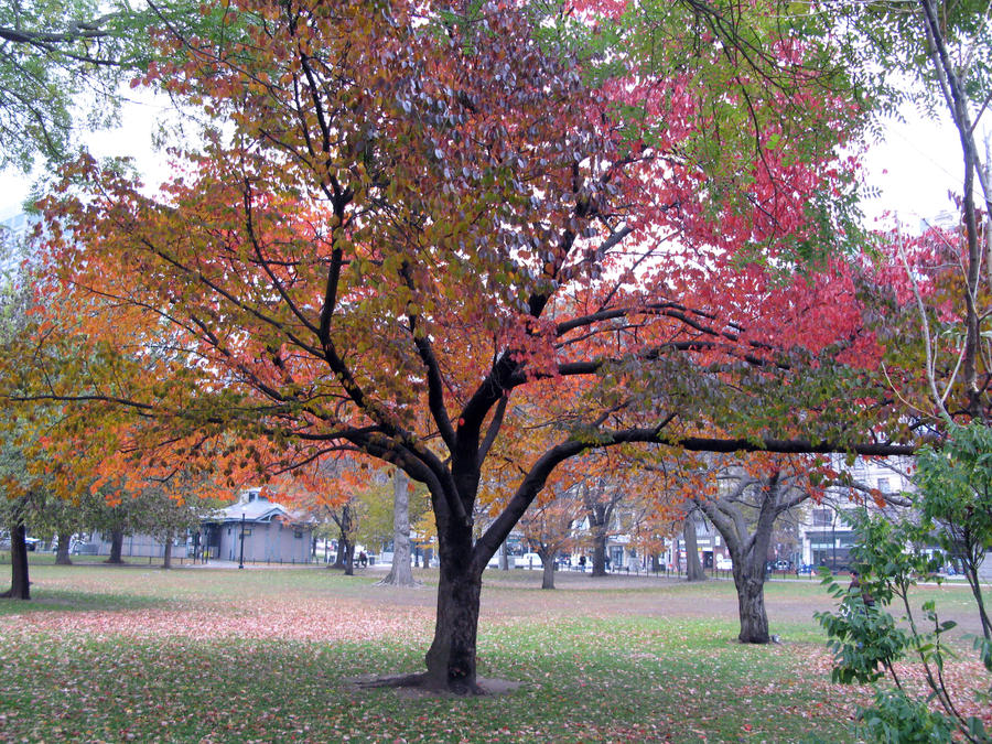 A Picture A Day- no.179 of 365 by cheezweazl on DeviantArt